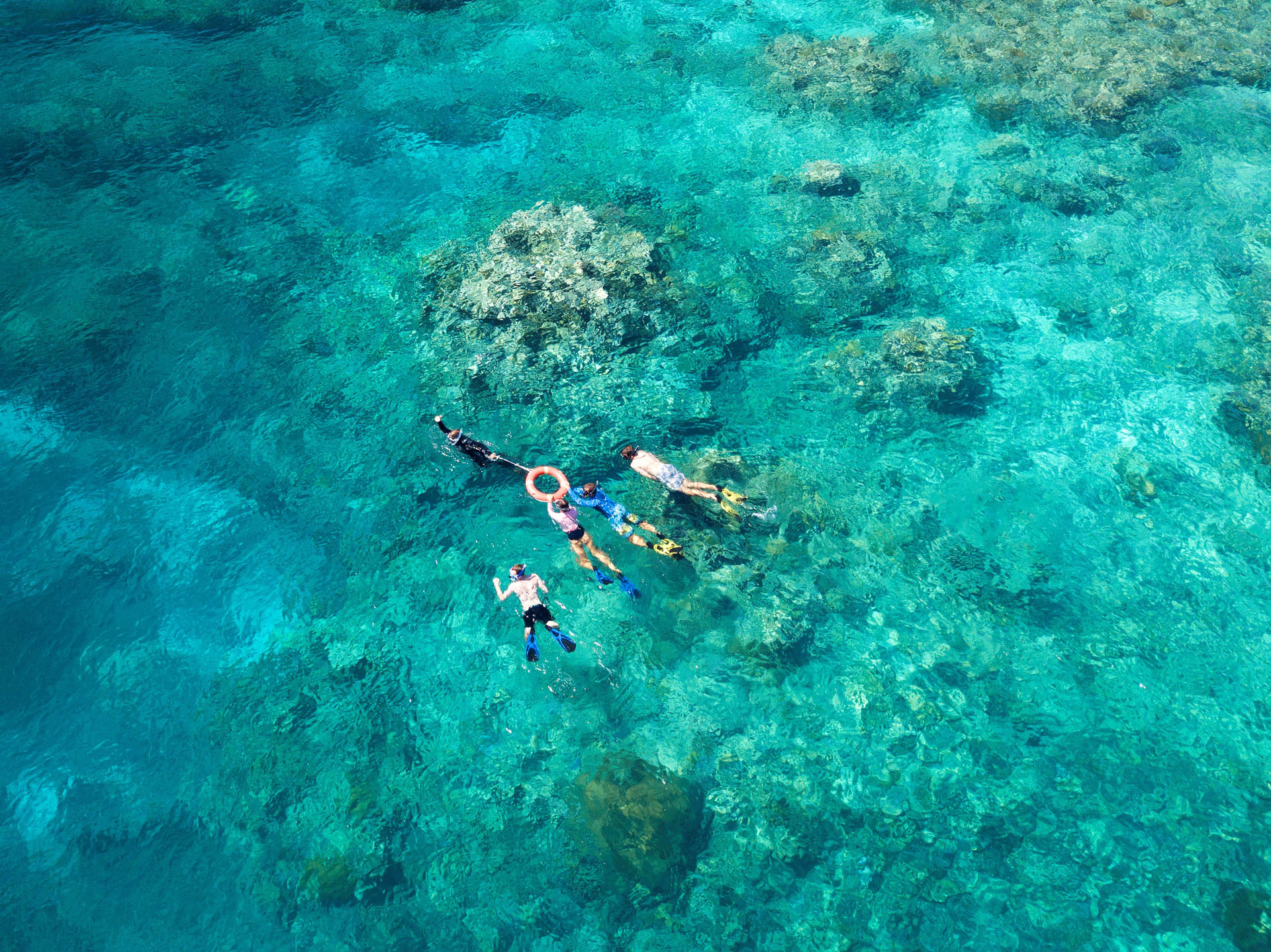 Great Barrier Reef Snorkel and Dive Trips | Divers Den